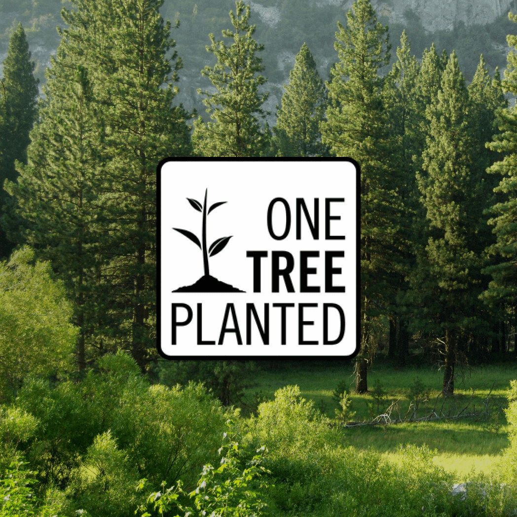 Donation of a Tree – Beardy Baker